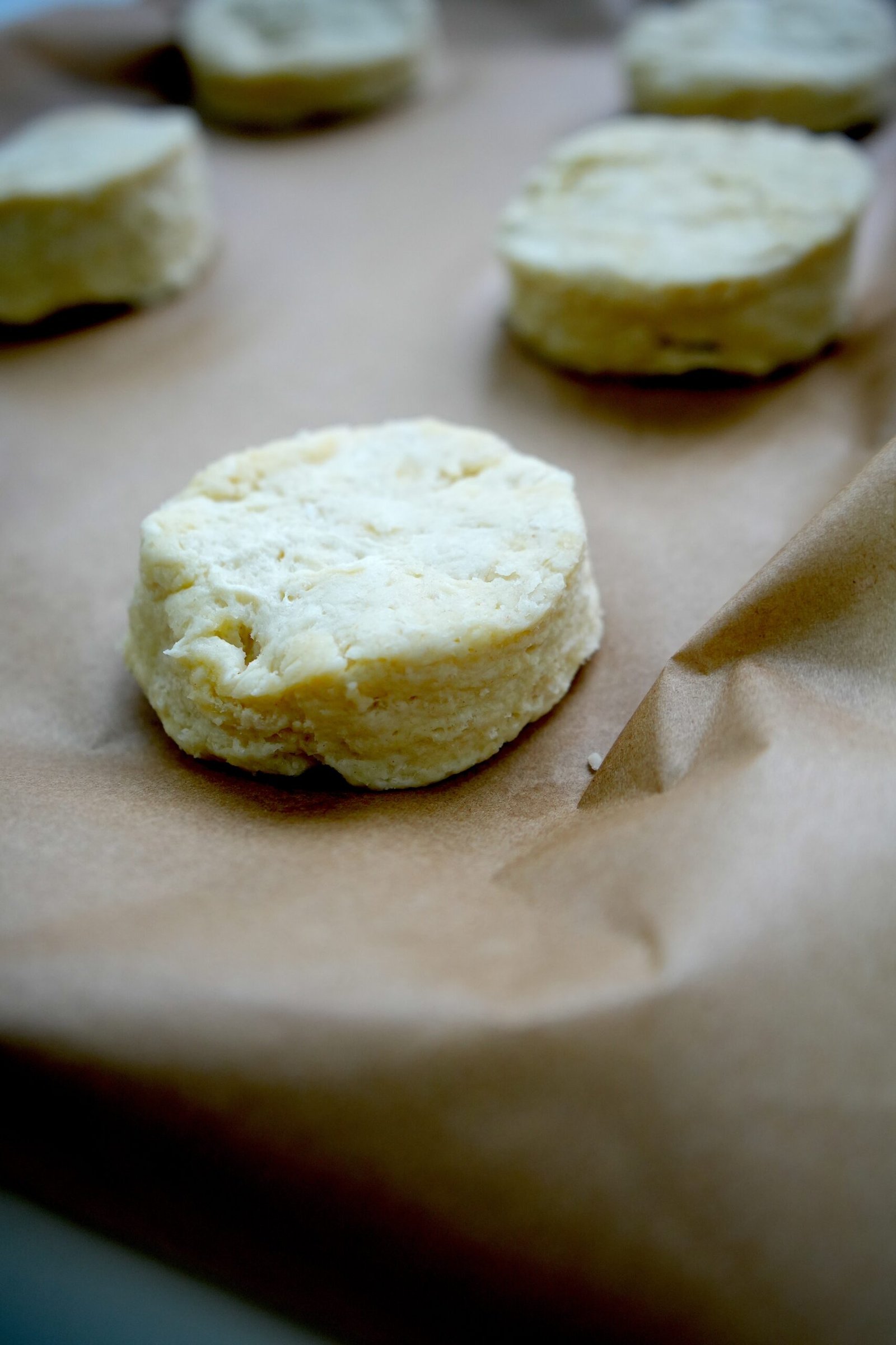 Easy Homemade Biscuits in 30 Mins! - Food Sturvs